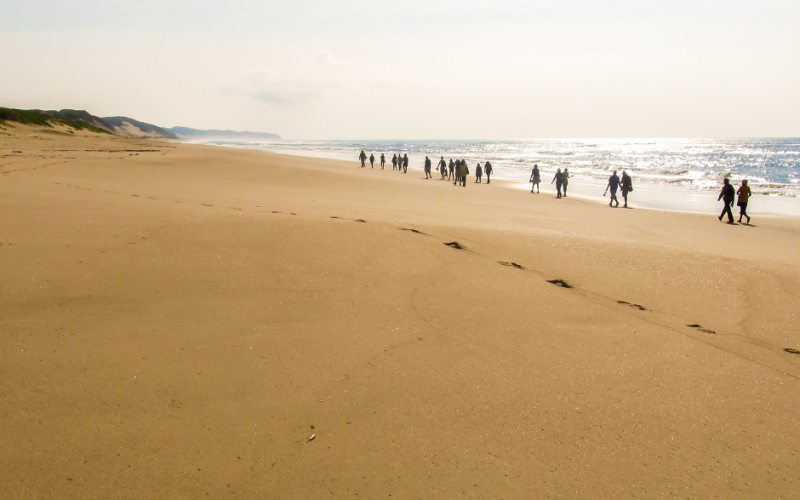 Solas Donegal | Donegal Community Inclusion