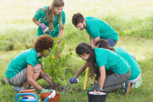 Welcome to Donegal Community Inclusion Training Services | Donegal ...